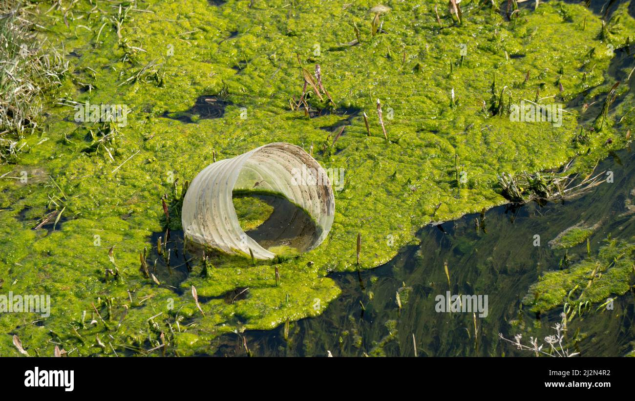 Non-recyclable plastic bottle on the surface of a dirty pond. Concept ...