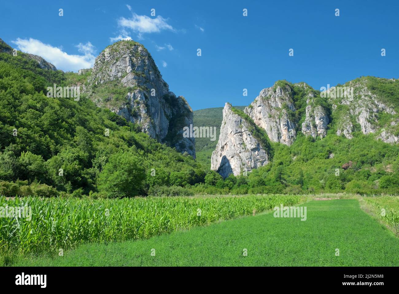 cliff and cultivated field near Vlasi village, Serbia Stock Photo - Alamy