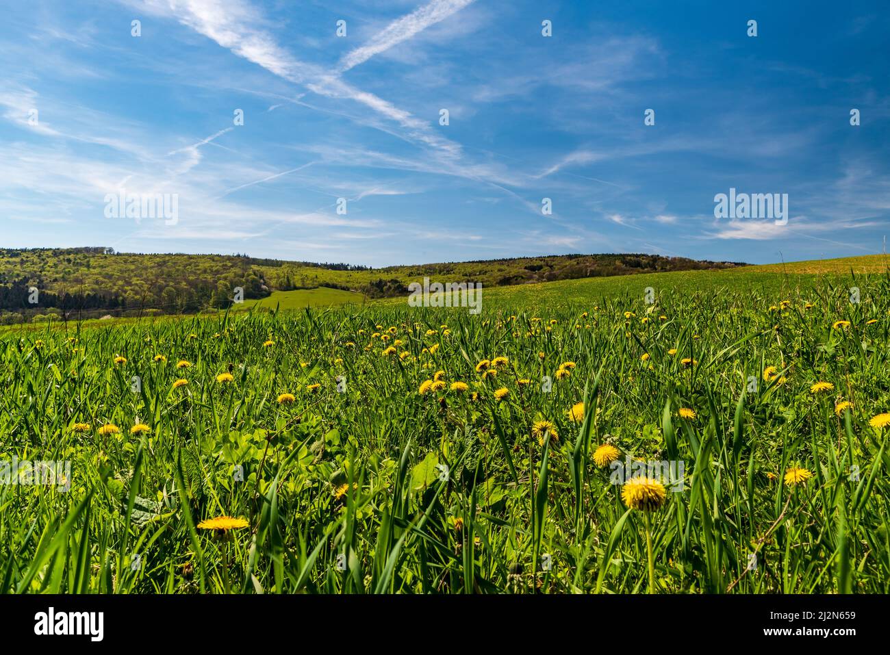 Karpaty velky hi-res stock photography and images - Alamy