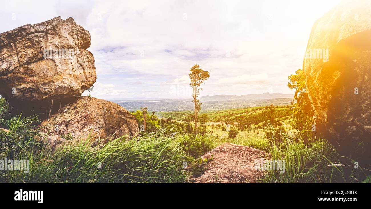 Panorama of colorful landscape the summer in the daytime with bright ...