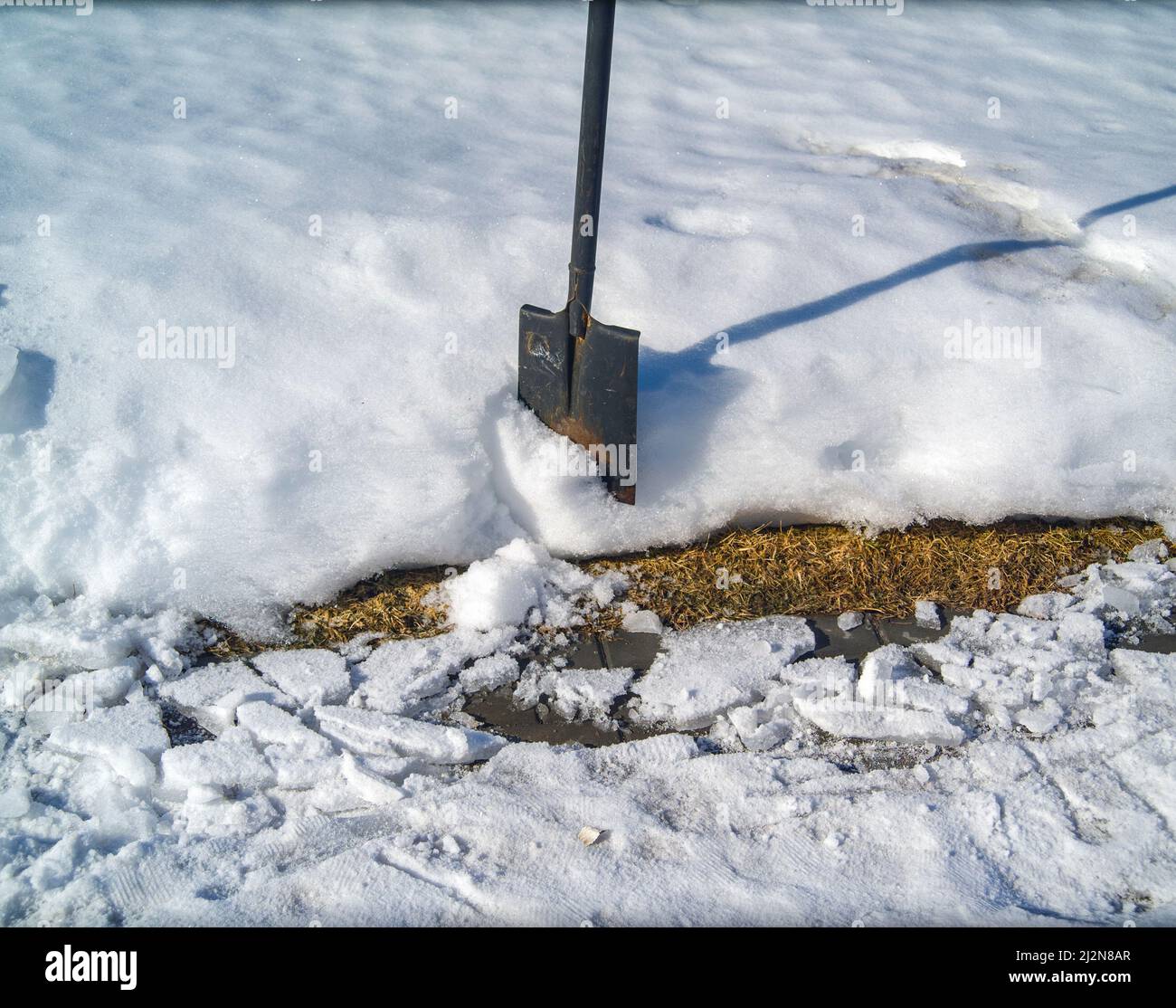 removing snow from a path and lawn and a shovel stuck in the snow Stock ...