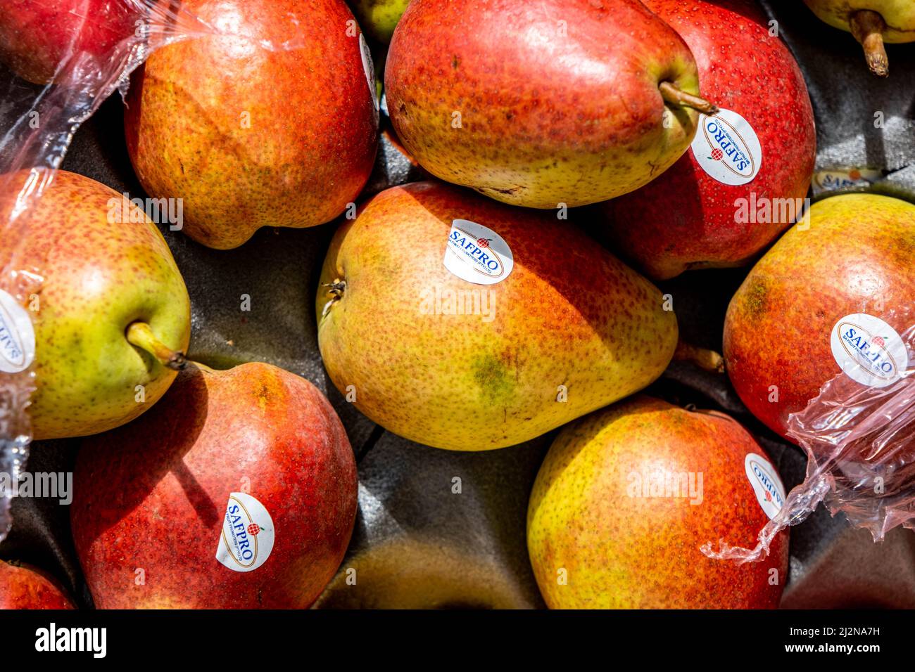 Seckel ppears hi-res stock photography and images - Alamy