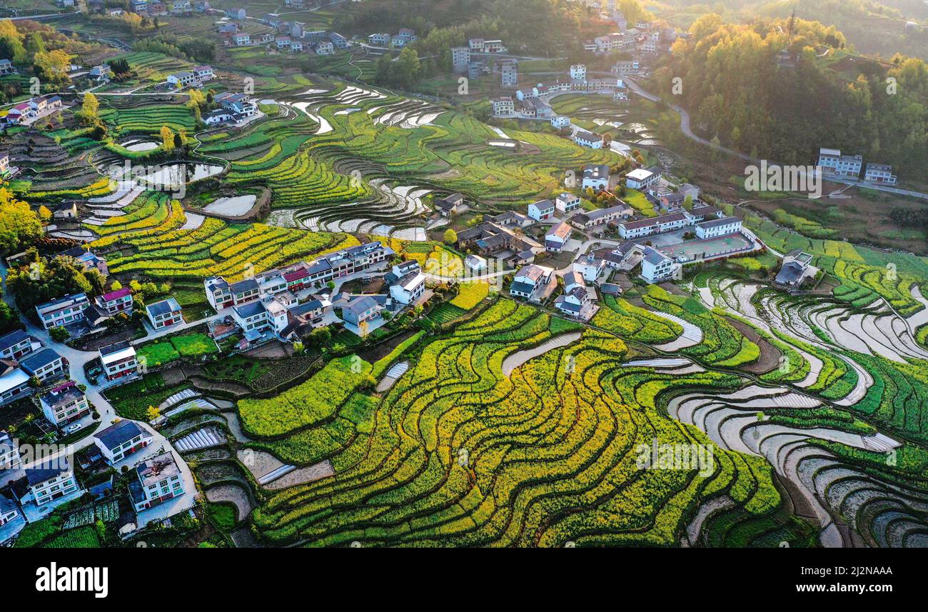 Ankang. 3rd Apr, 2022. Aerial photo taken on April 3, 2022 shows the ...
