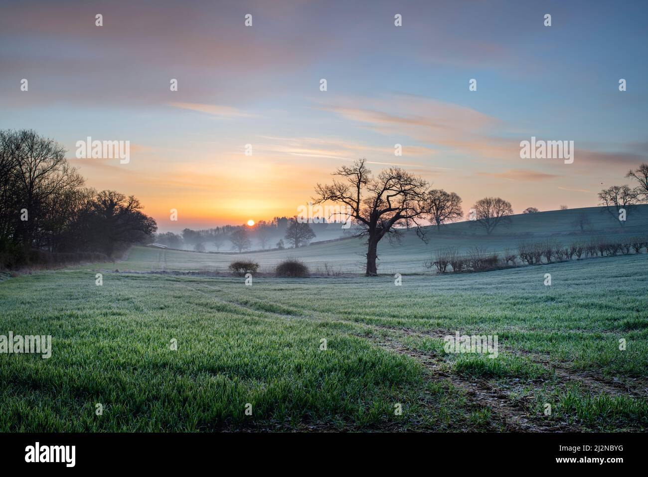 Sunrise and april frost over fields in the oxfordshire countryside ...