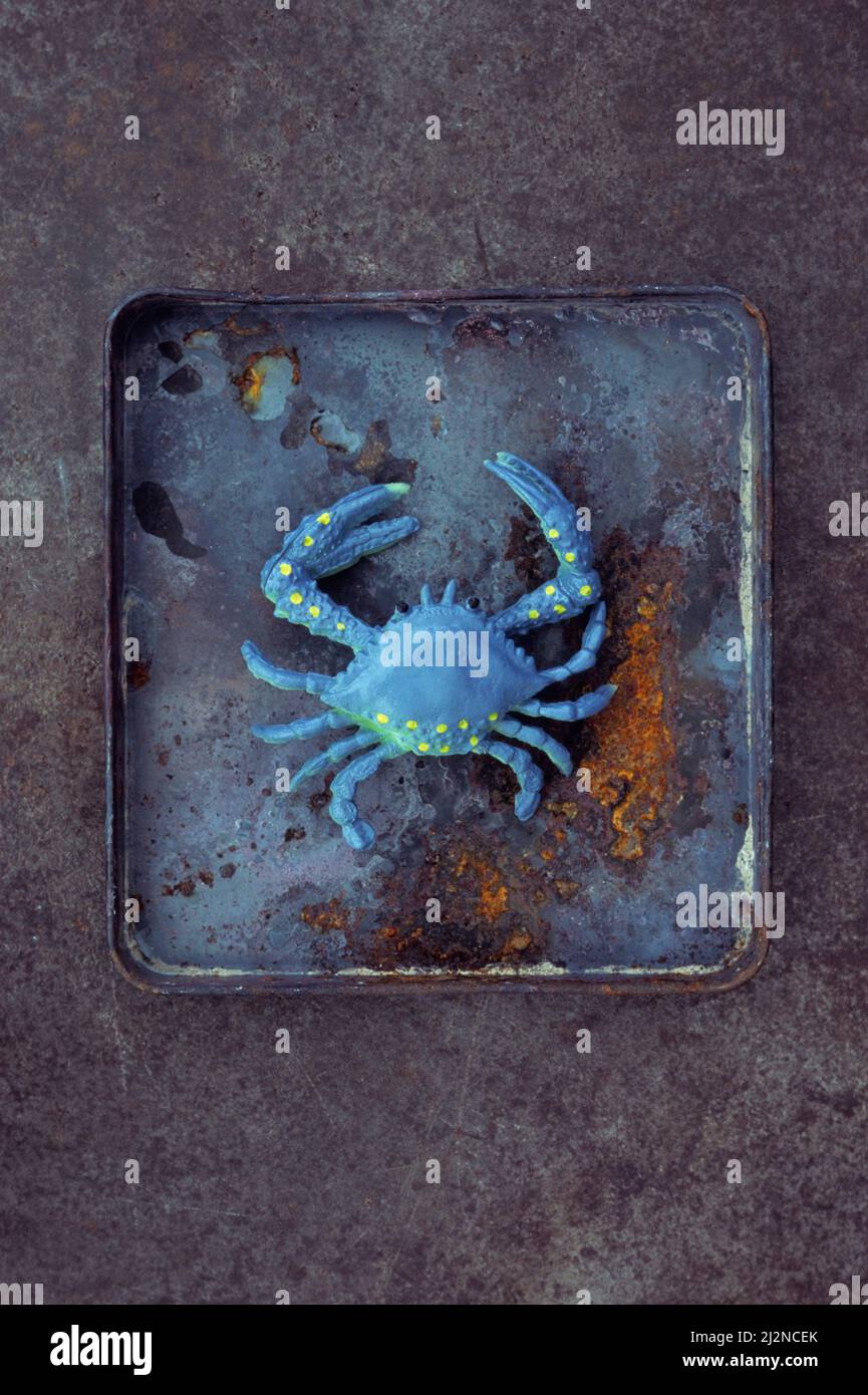 Plastic model of blue crab on tarnished metal Stock Photo - Alamy