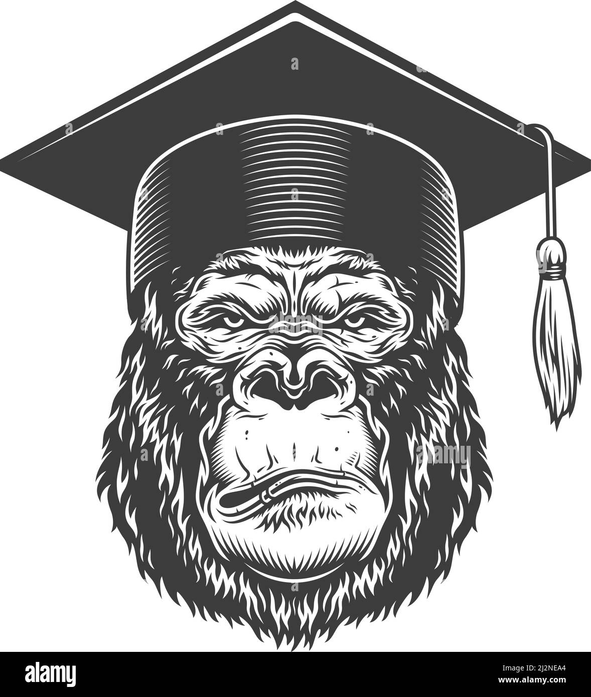 Serious gorilla in monochrome style in graduate hat. Vector illustration Stock Vector Image ...