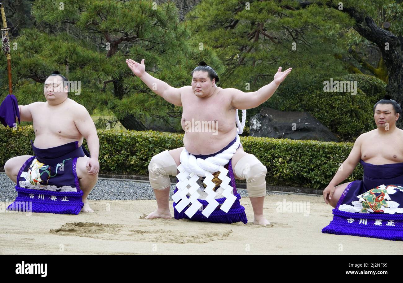Sumo grand champion Terunofuji performs a ceremonial ring-entering ...