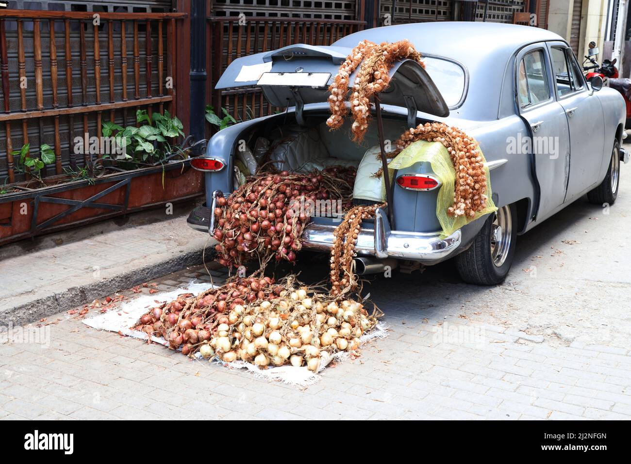 Sale of onions on display in the trunk of a vintage car in Havana, Cuba ...