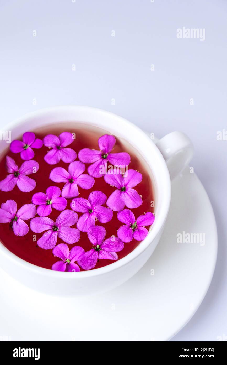 Modern still life with pink flowersin cup of tea on white background ...