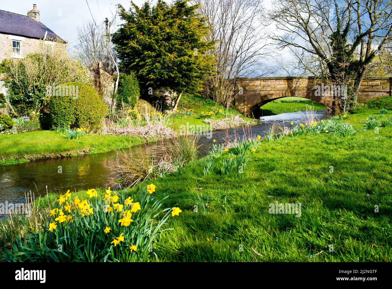Aldbrough Beck, Aldbrough st John, North Yorkshire, England Stock Photo ...