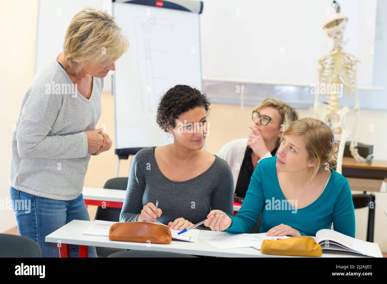 group of students on anatomy lesson Stock Photo - Alamy