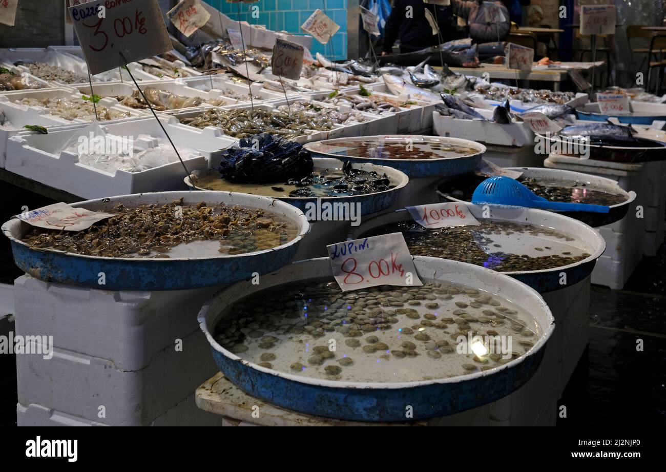 Seafood on display at a fish market Stock Photo - Alamy