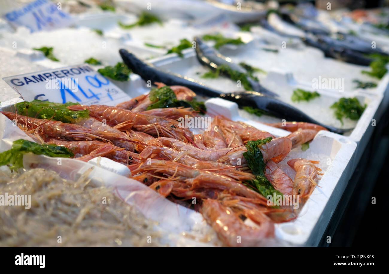 Seafood on display at a fish market Stock Photo - Alamy