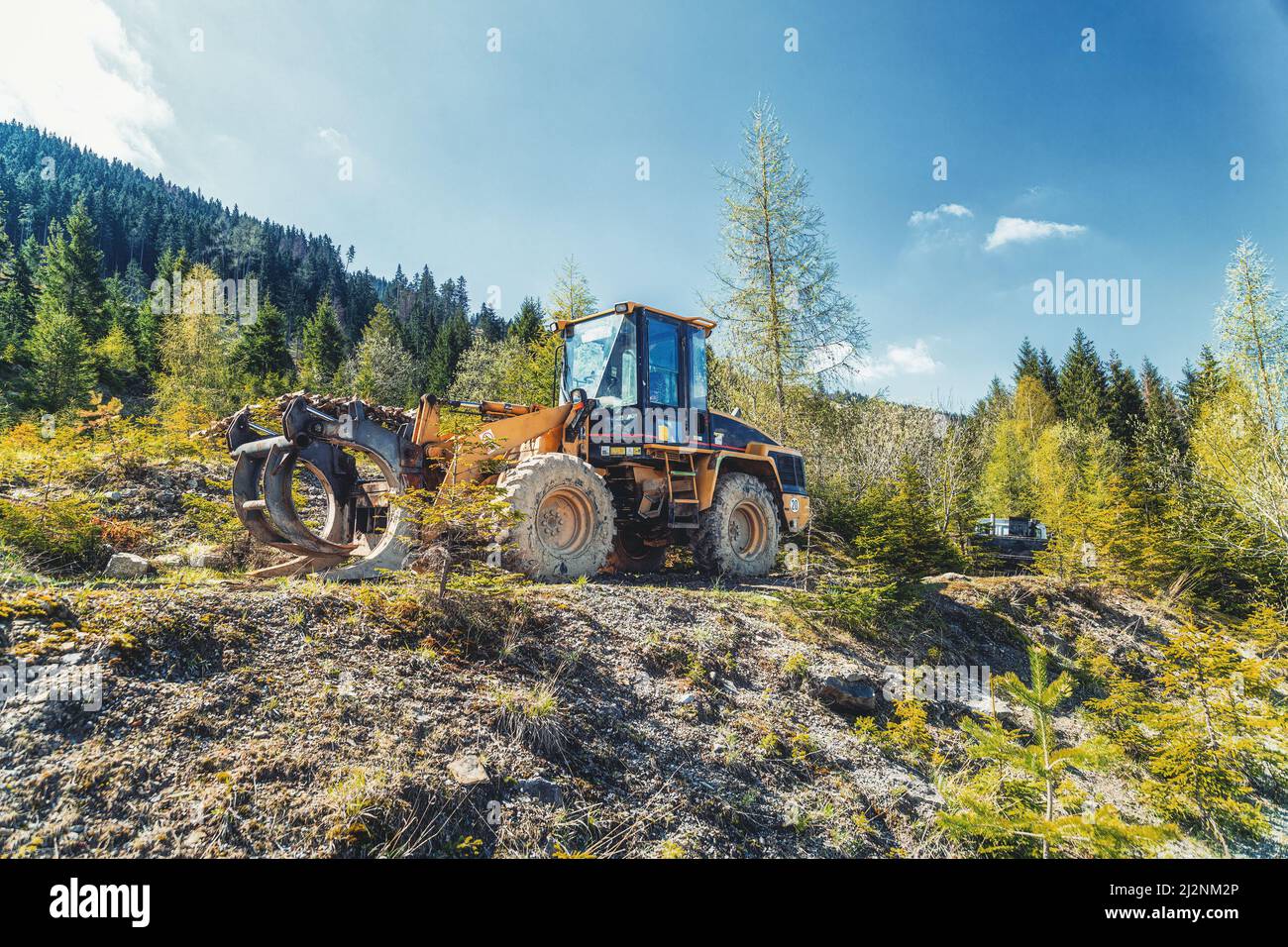 Rainforest logging harvester hi-res stock photography and images - Alamy