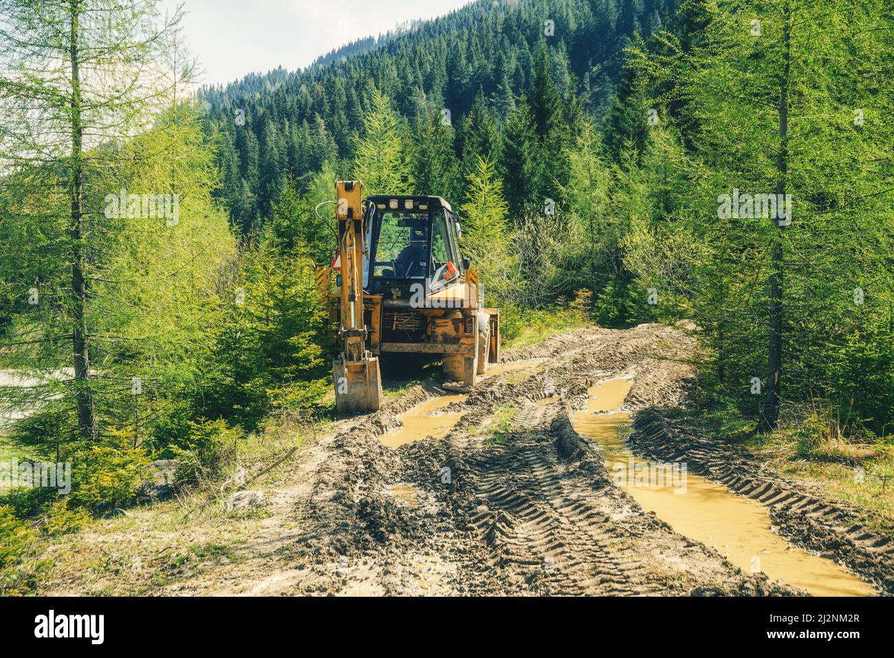 Rainforest logging harvester hi-res stock photography and images - Alamy