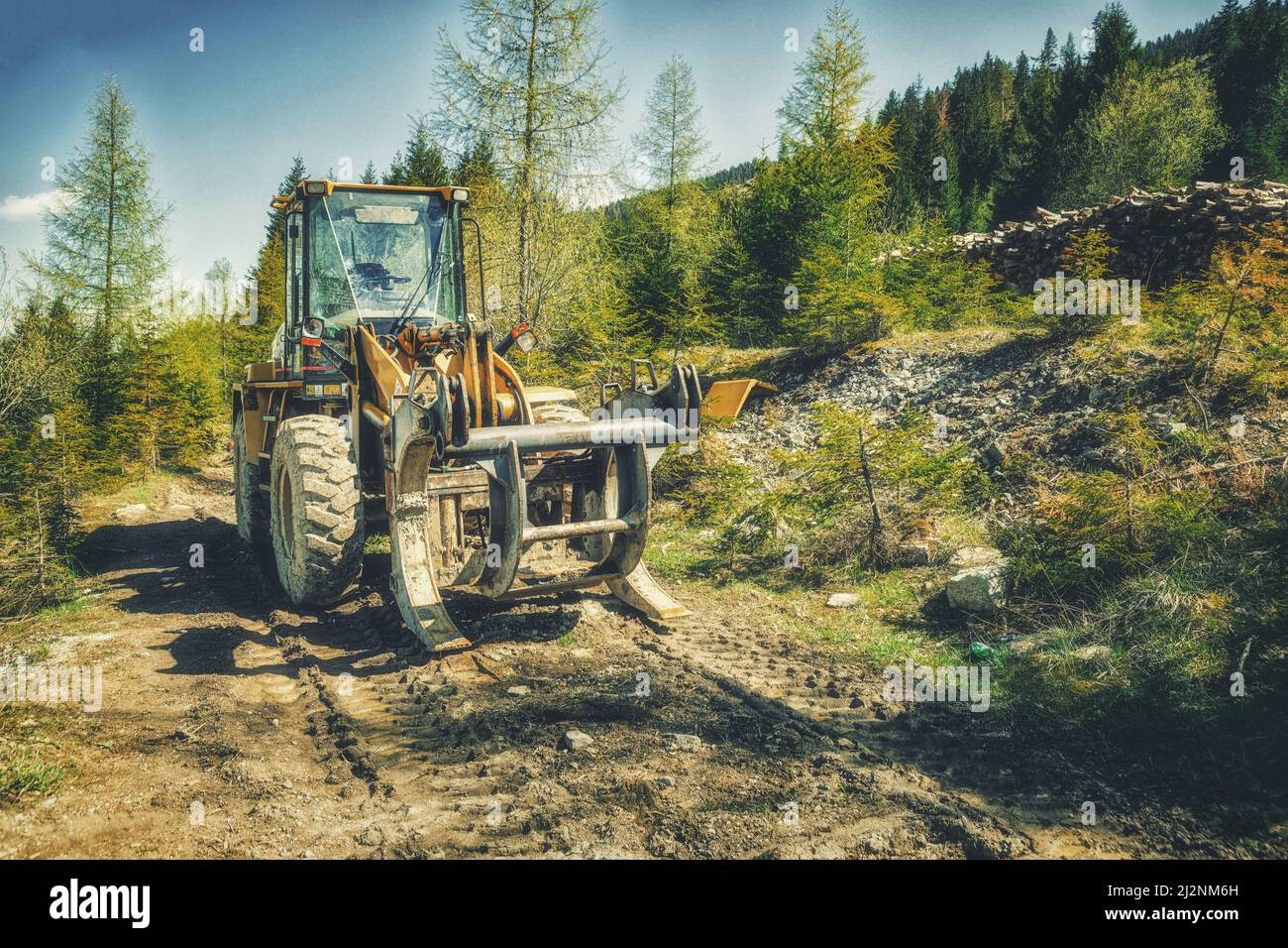 Rainforest logging harvester hi-res stock photography and images - Alamy