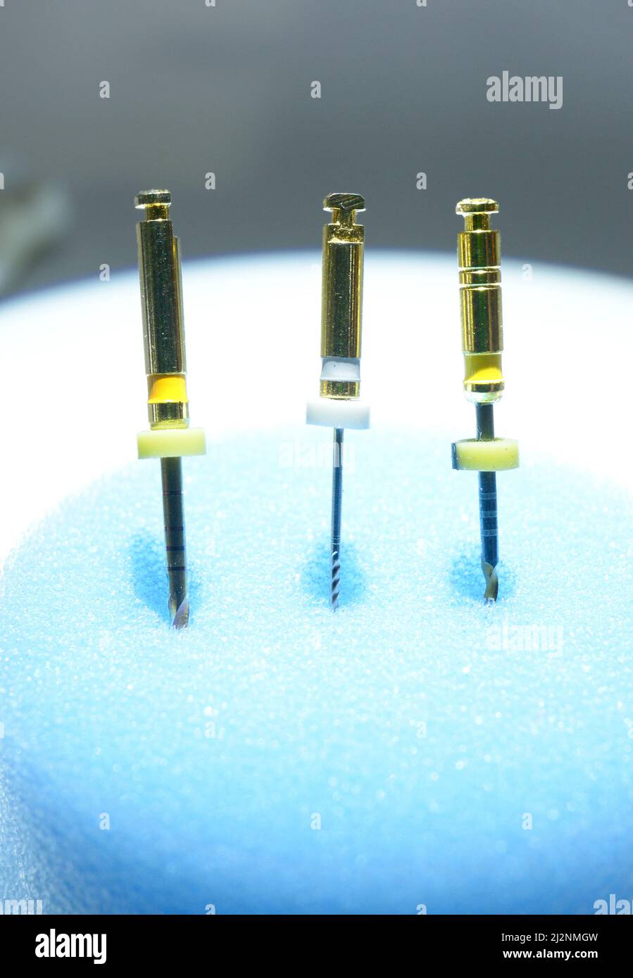 Endodontic NITI rotary files burs placed on a stand Stock Photo - Alamy
