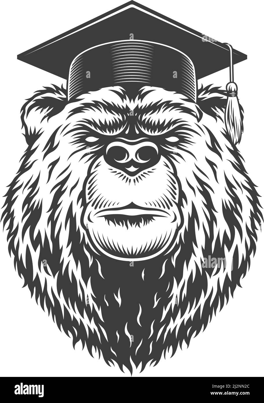Vintage monochrome graduate bear head in graduation cap isolated vector ...
