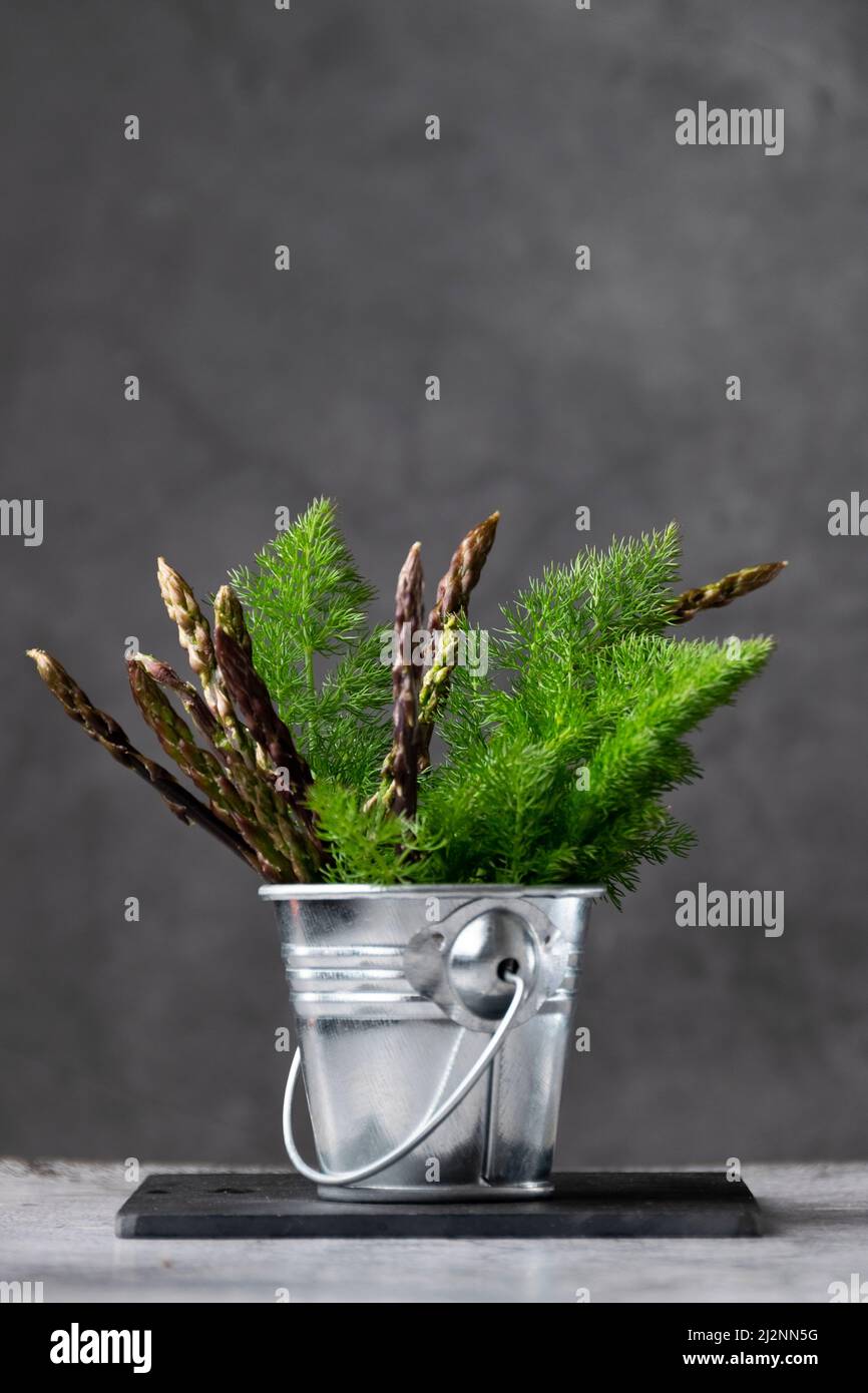 White metal bucket with greenery, rustic style, gardening, homegrown production Stock Photo - Alamy
