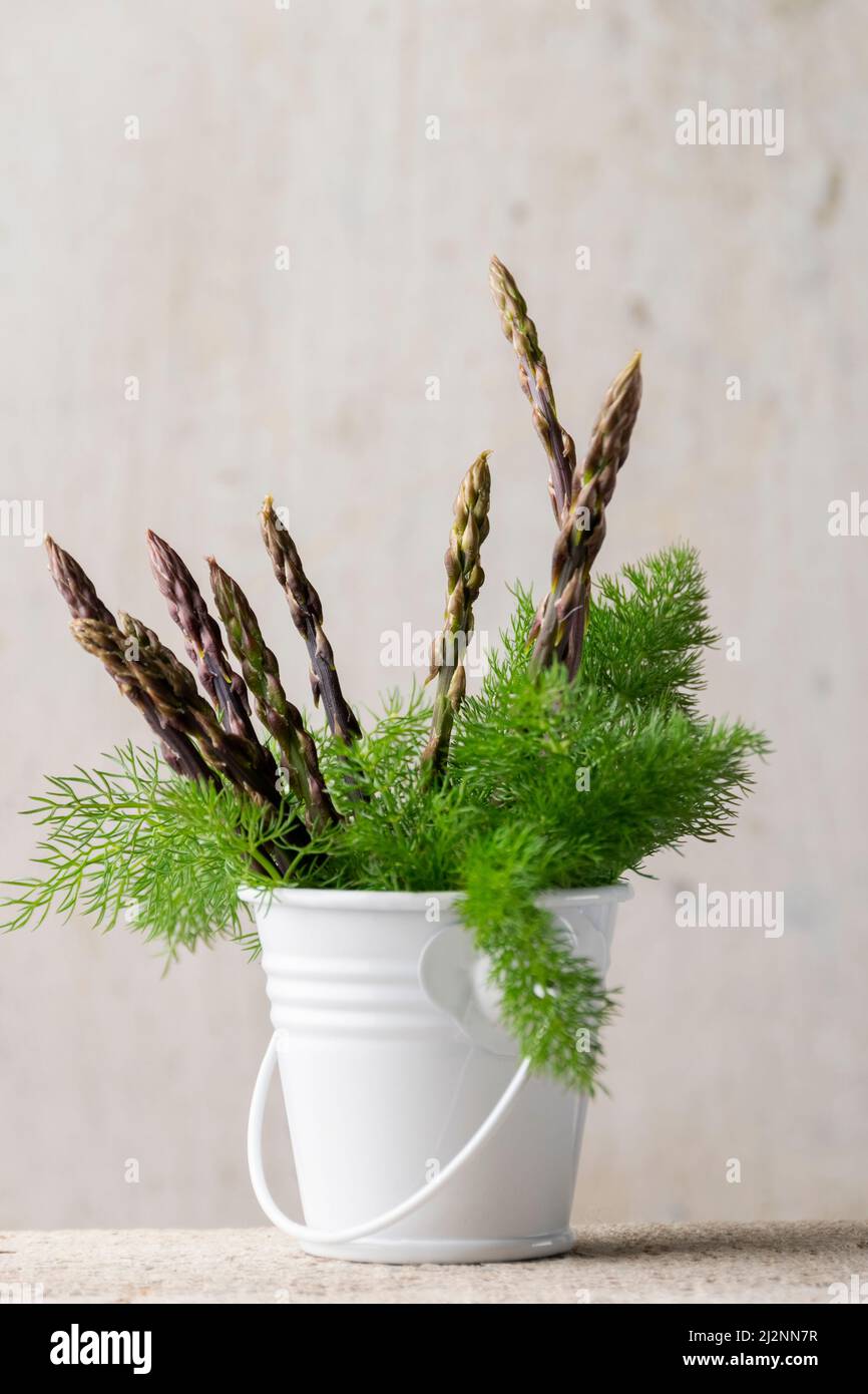 White metal bucket with greenery, rustic style, gardening, homegrown production Stock Photo - Alamy