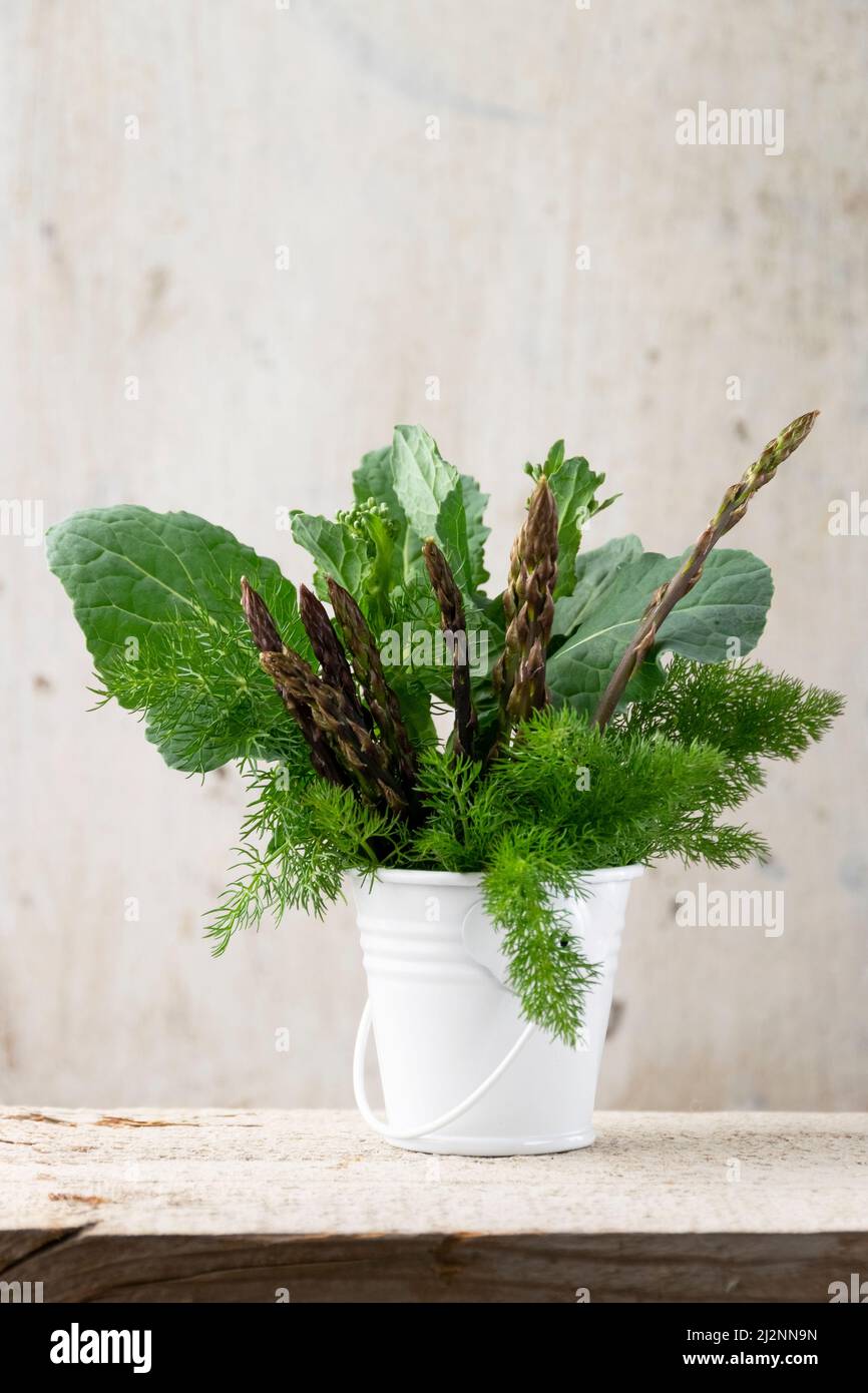 White metal bucket with greenery, rustic style, gardening, homegrown production Stock Photo - Alamy