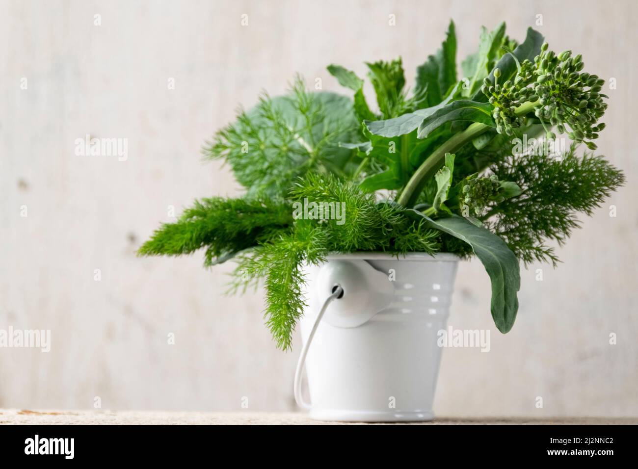 White metal bucket with greenery, rustic style, gardening, homegrown production Stock Photo - Alamy