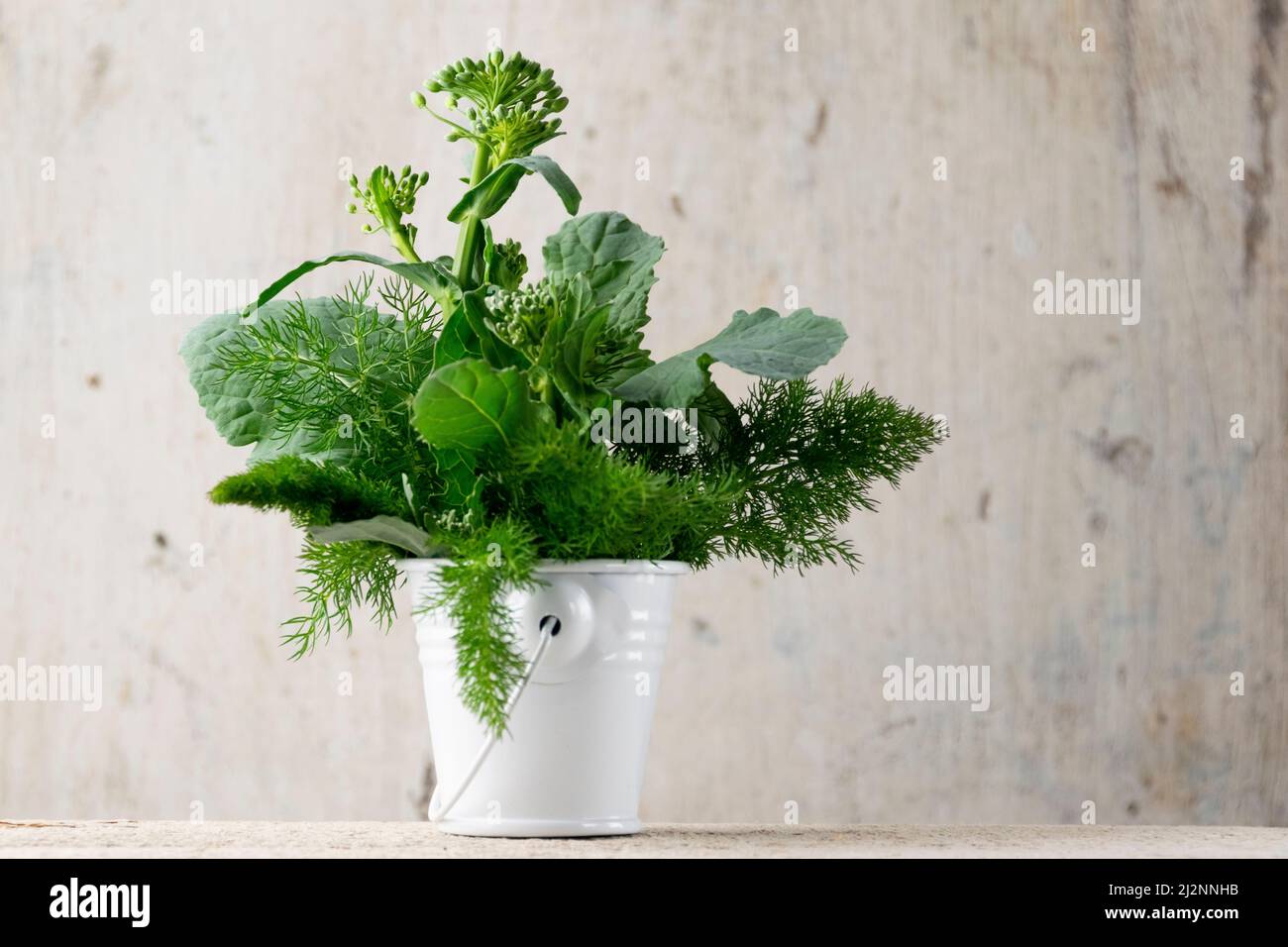 White metal bucket with greenery, rustic style, gardening, homegrown production Stock Photo - Alamy