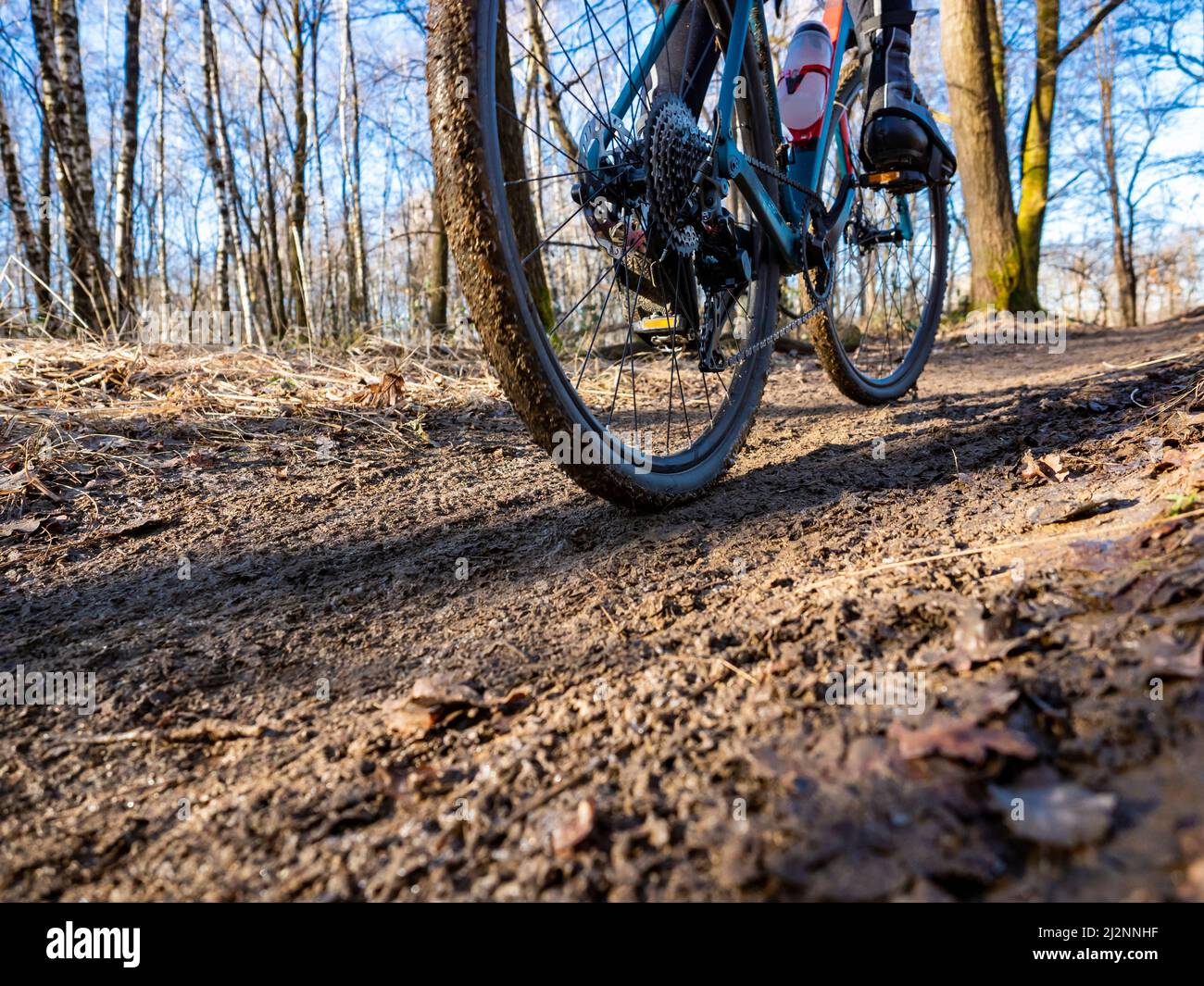 Sport people morning park biking hi-res stock photography and images ...