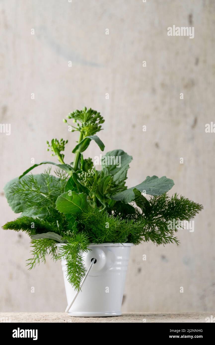 White metal bucket with greenery, rustic style, gardening, homegrown ...