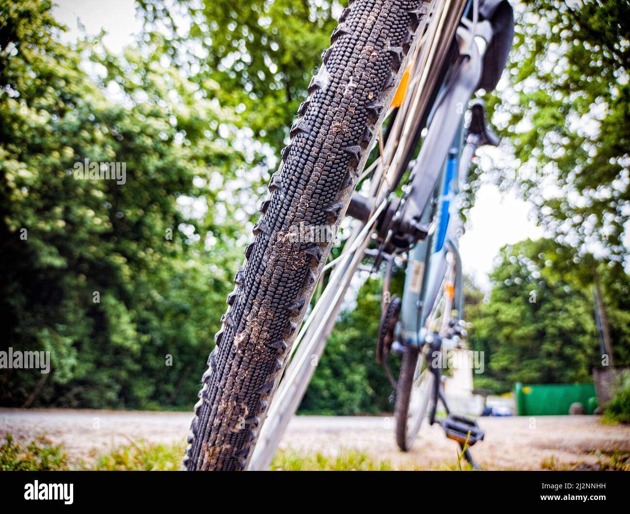Cycling in a sunny morning Stock Photo - Alamy