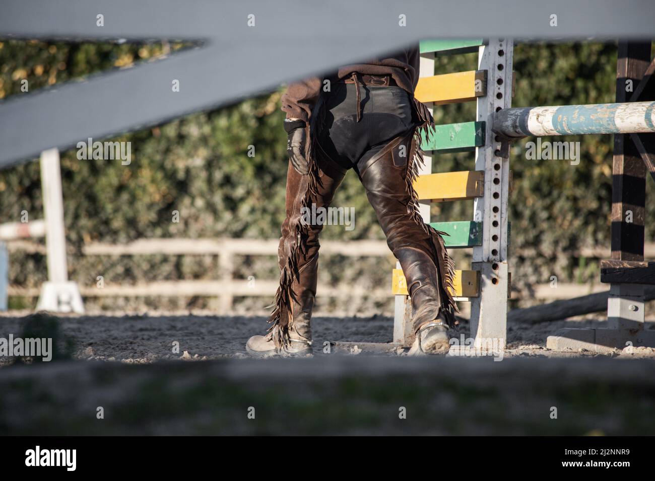Ranch life, rear view of a cowboy wearing chaps while working in ...