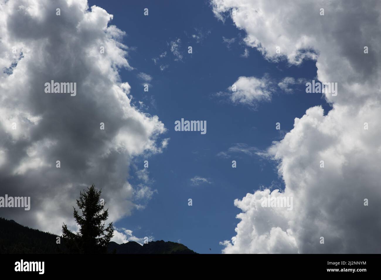 Sky with clouds and European mountain forest view horizontal background ...