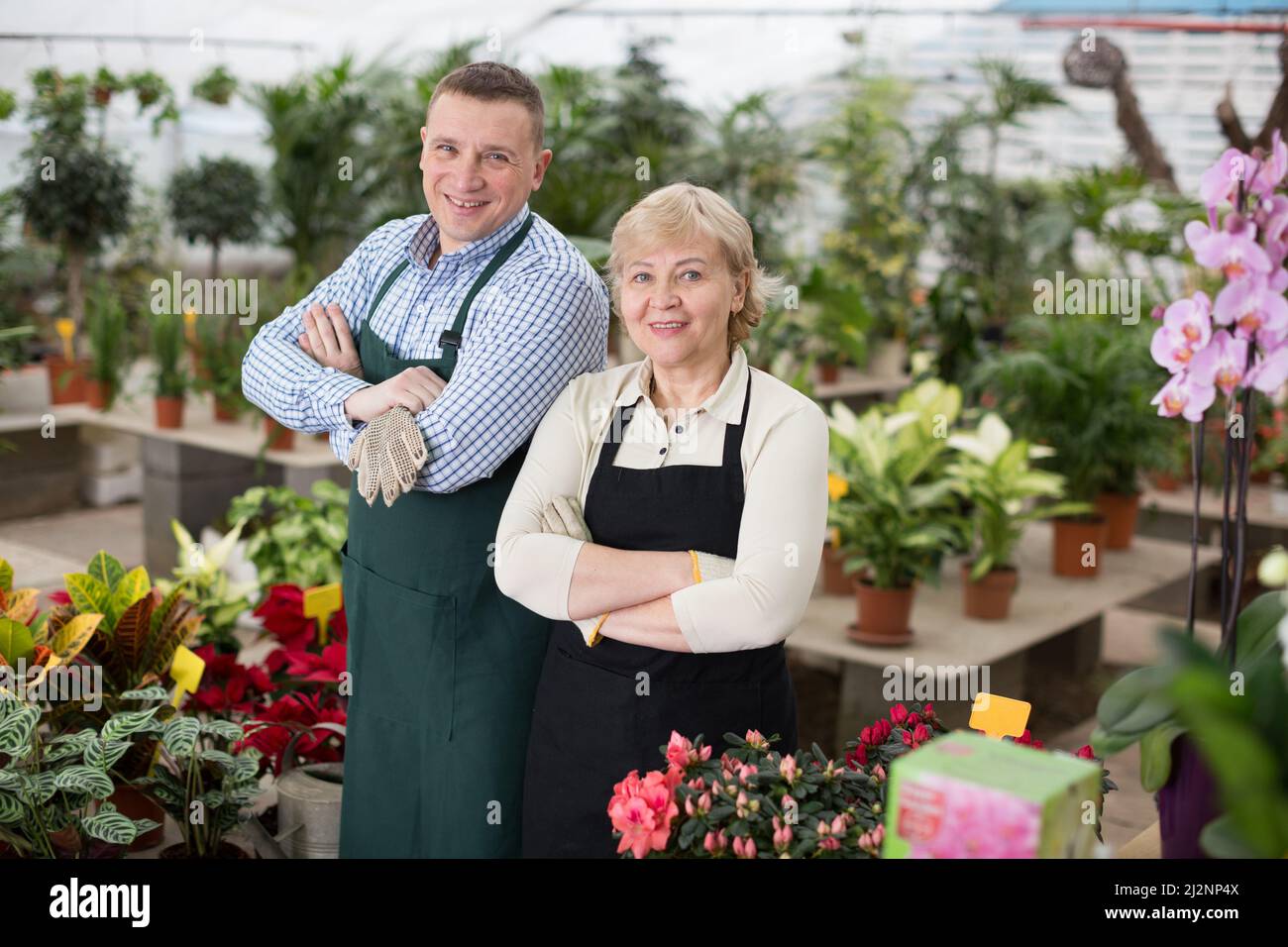 Male gardener standing near hi-res stock photography and images - Alamy