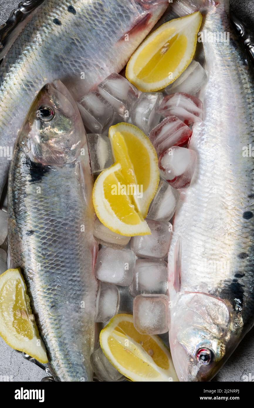 Fresh whole fish uncooked hi-res stock photography and images - Alamy