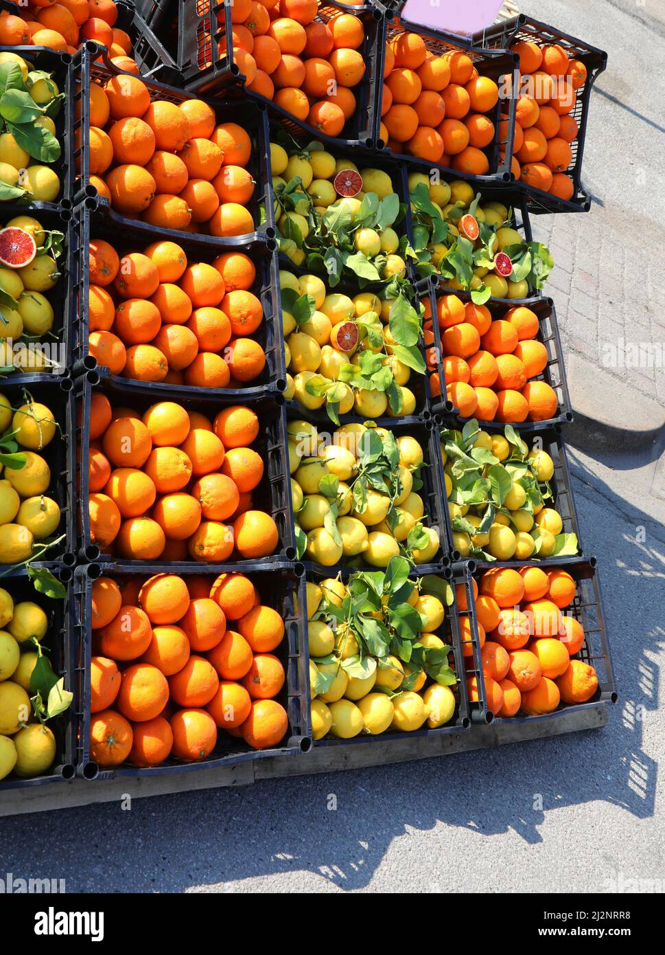 many crates of fresh citrus fruits lemons and oranges for sale in the ...