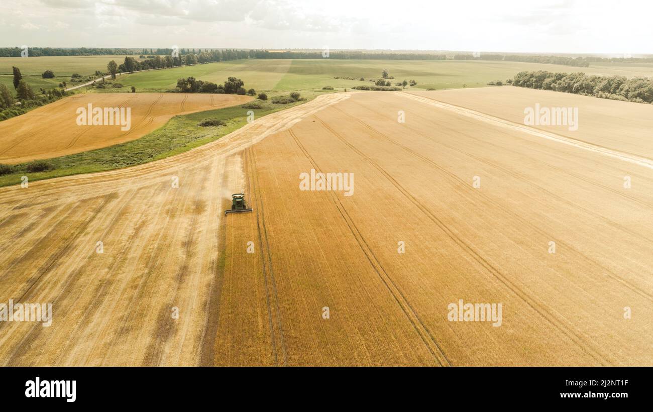 Aerial view combine harvester harvesting on the field Stock Photo - Alamy