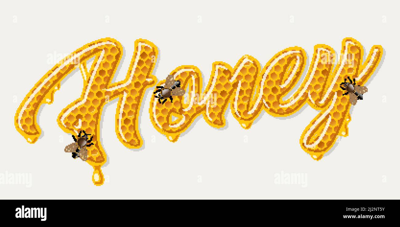 Honey word with honeycomb lettering. Vector illustration Stock Vector ...