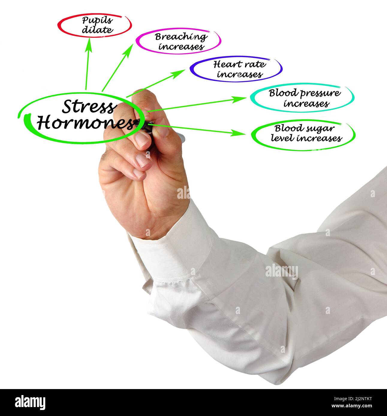 Pupils dilate hi-res stock photography and images - Alamy