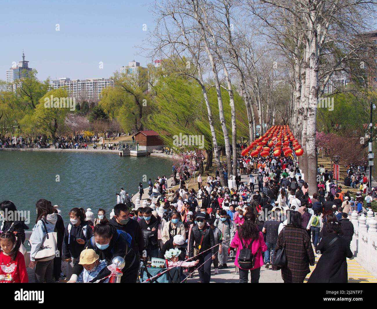 BEIJING, CHINA - APRIL 3, 2022 - Tourists flock to the Yuyuantan Park ...