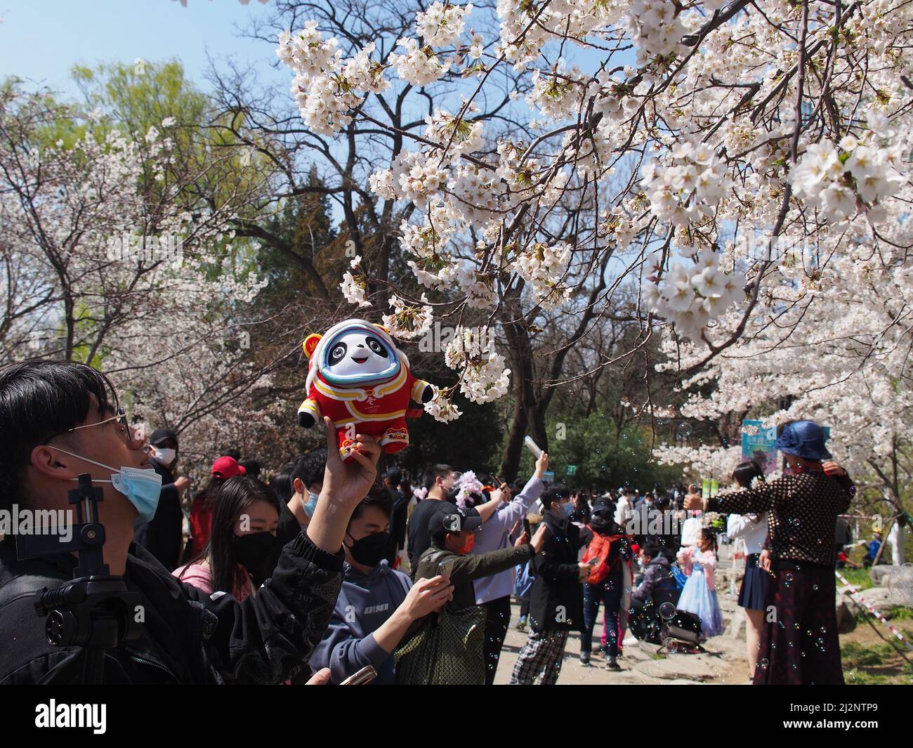 BEIJING, CHINA - APRIL 3, 2022 - Tourists pose for a photo with bing ...