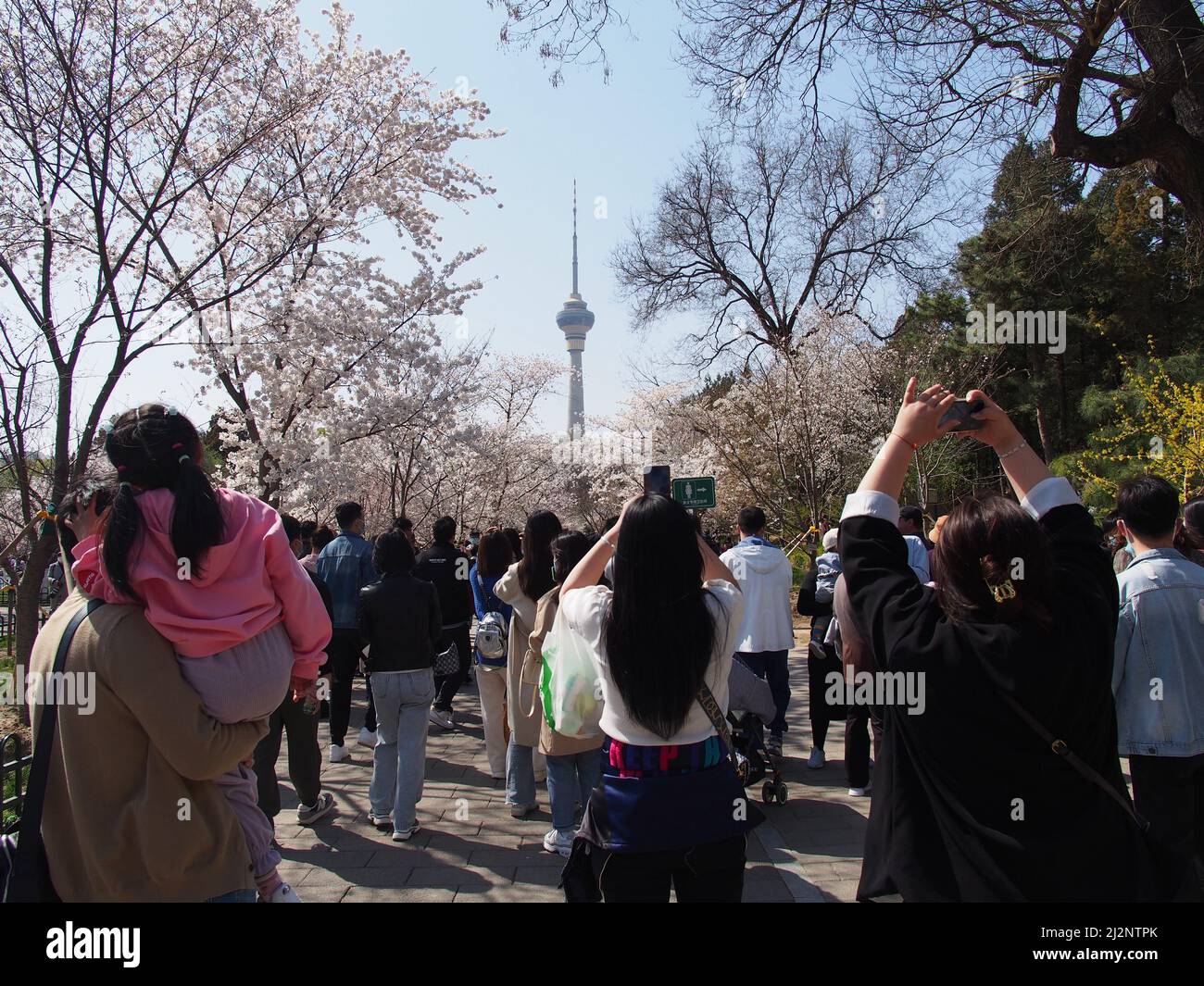 BEIJING, CHINA - APRIL 3, 2022 - Tourists flock to the Yuyuantan Park ...