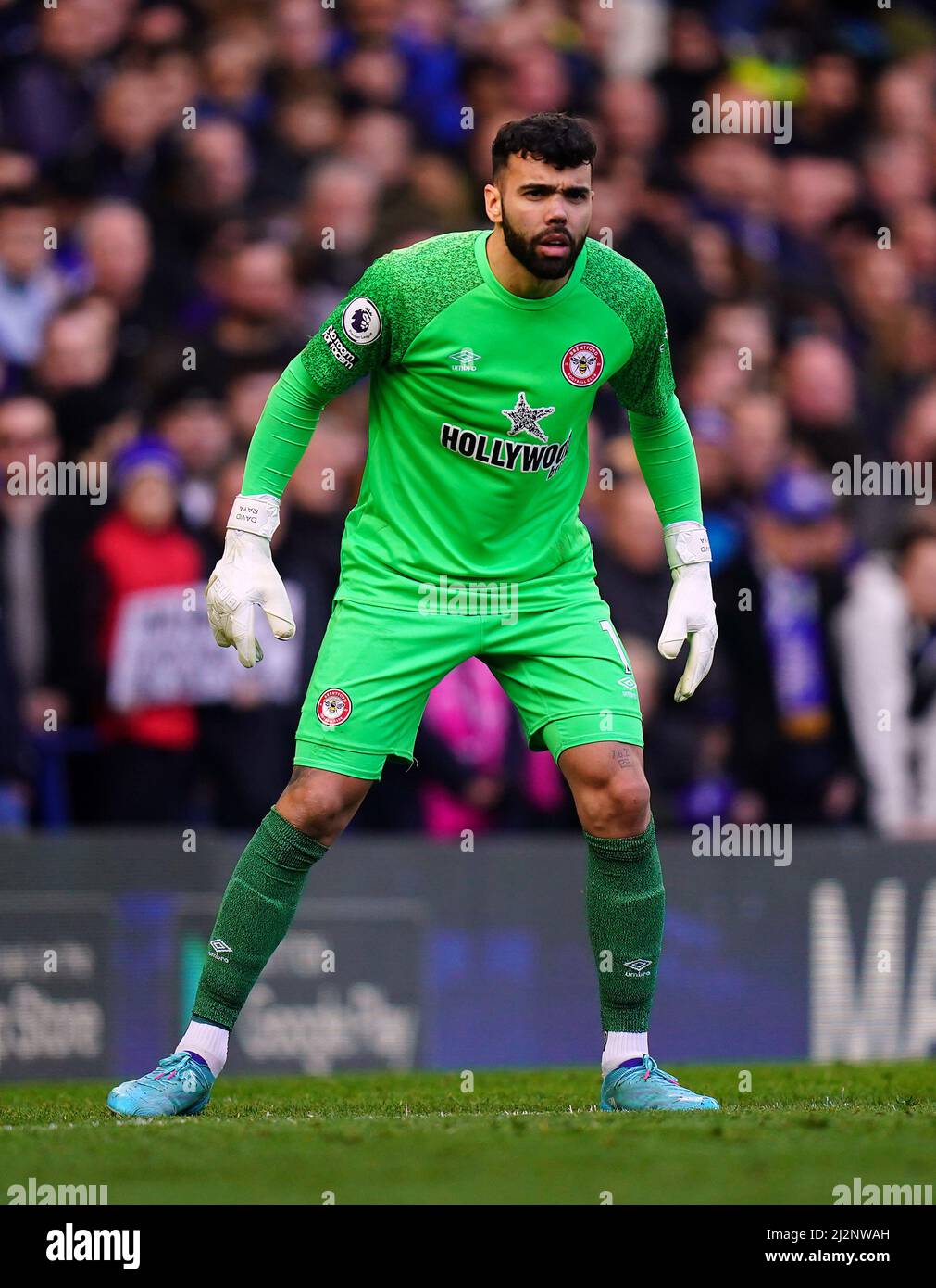 Brentford goalkeeper David Raya Martin during the Premier League match at Stamford Bridge ...