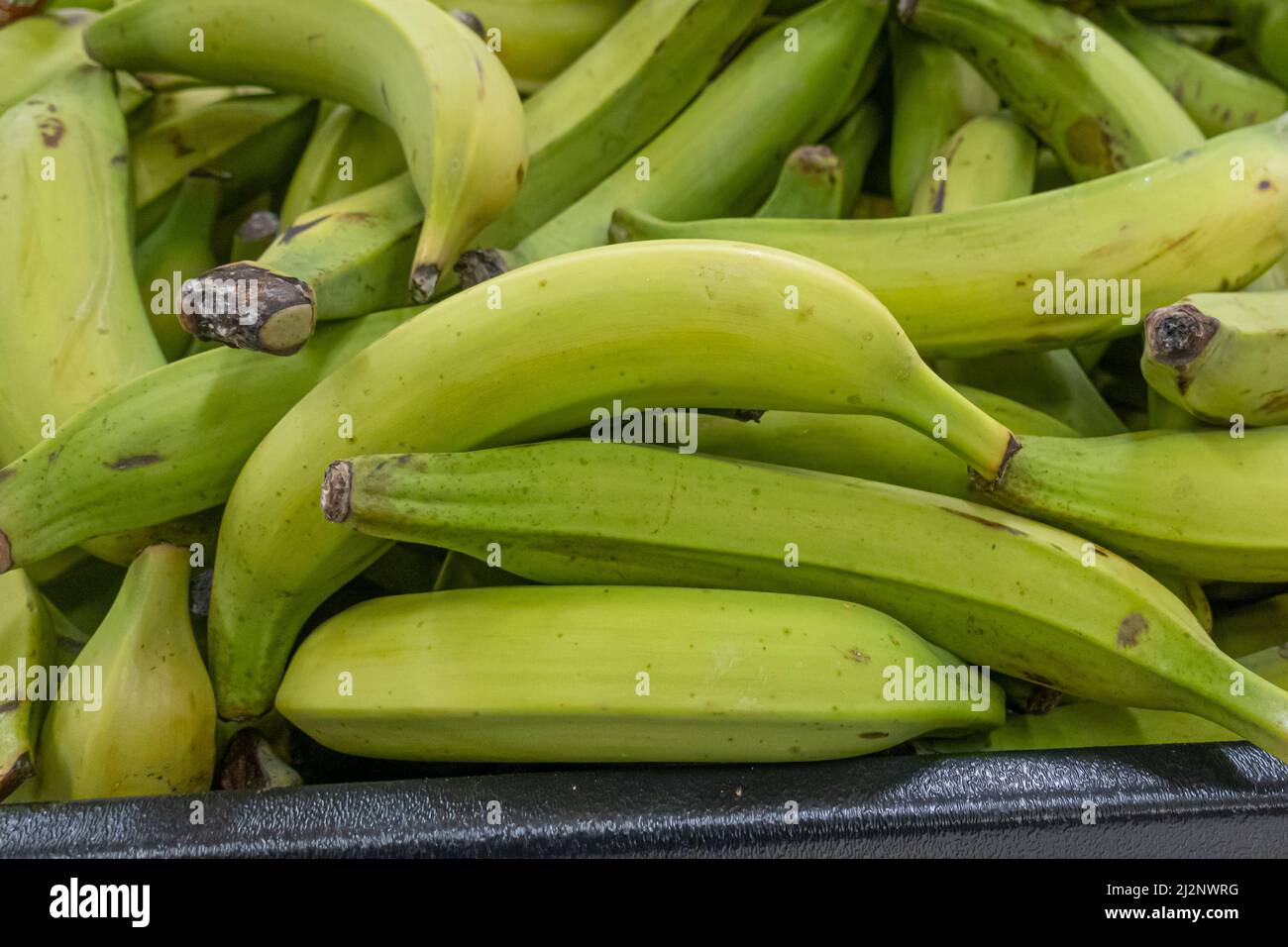 green unripe plantains in a grocery store display Stock Photo - Alamy