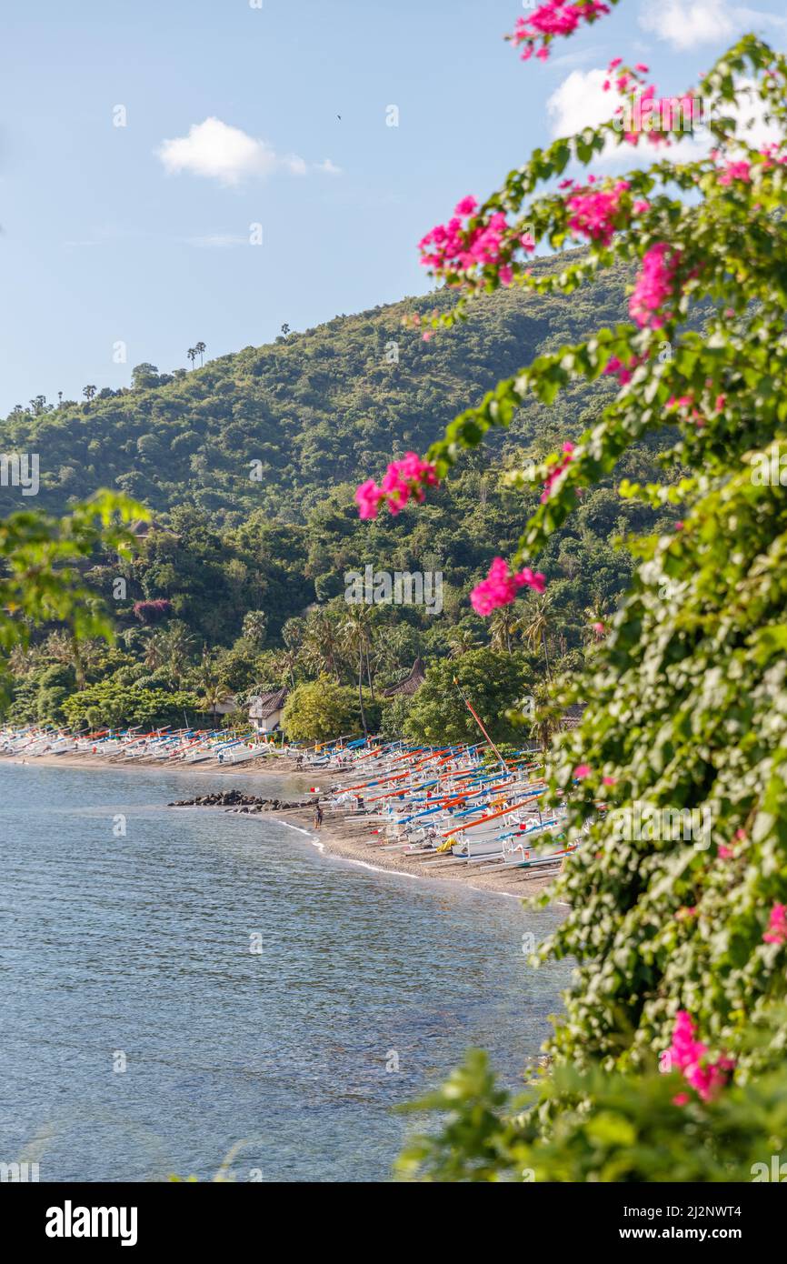 Views of Amed - ocean, blooming bougainvillea. Karangasem Regency, Bali ...