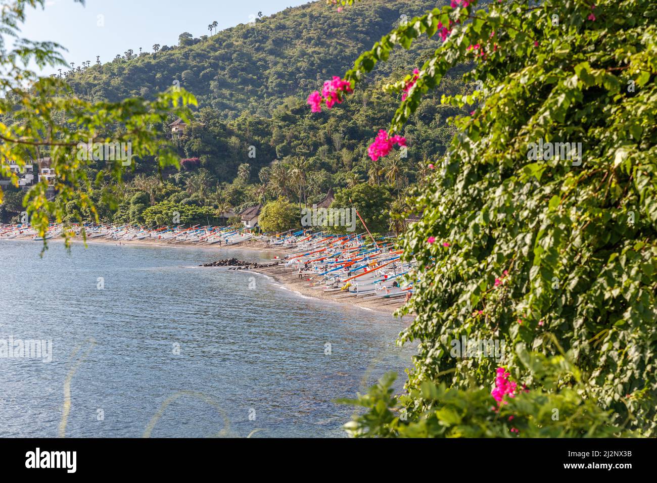 Views of Amed - ocean, blooming bougainvillea. Karangasem Regency, Bali ...