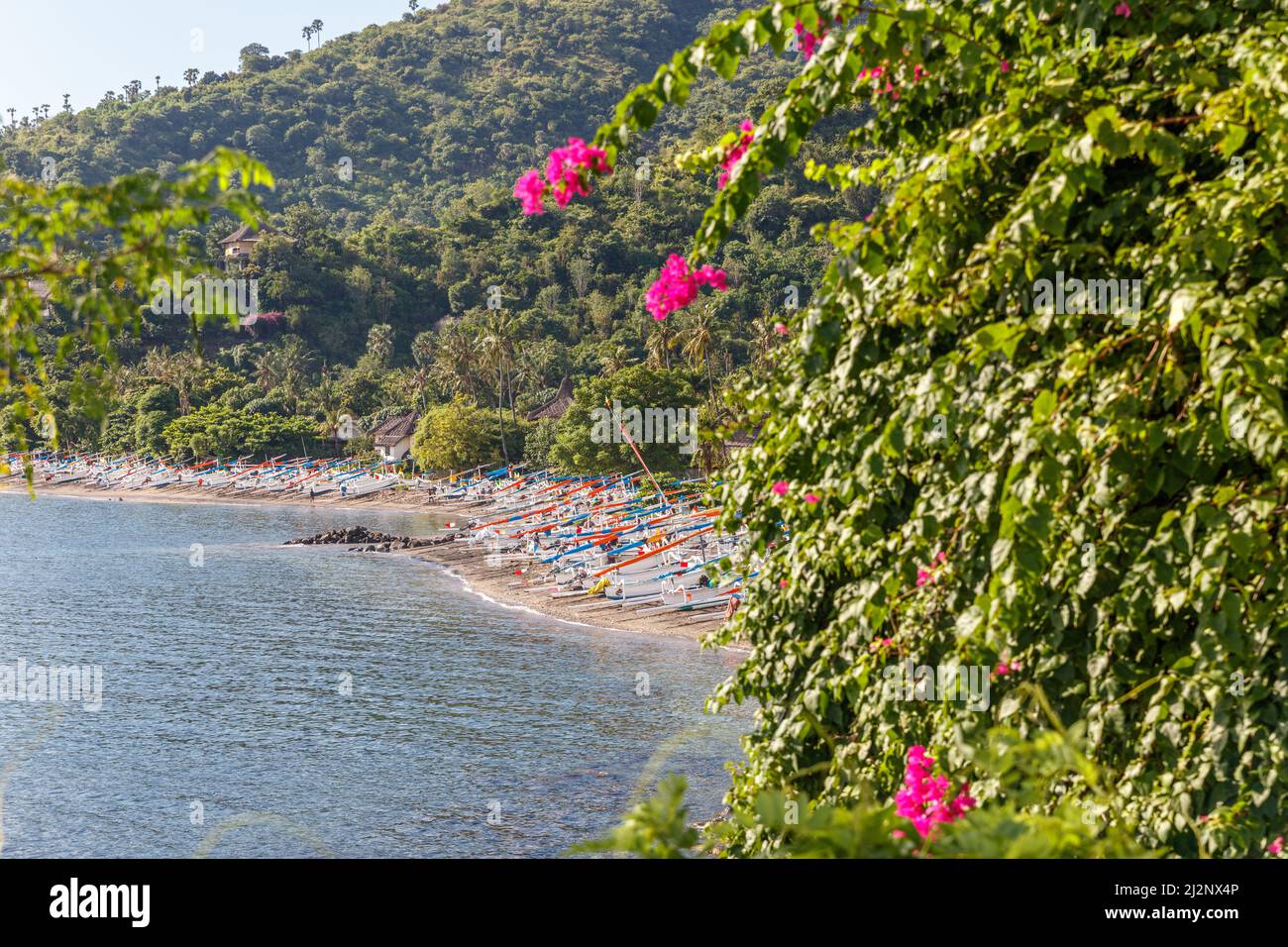 Views of Amed - ocean, blooming bougainvillea. Karangasem Regency, Bali ...
