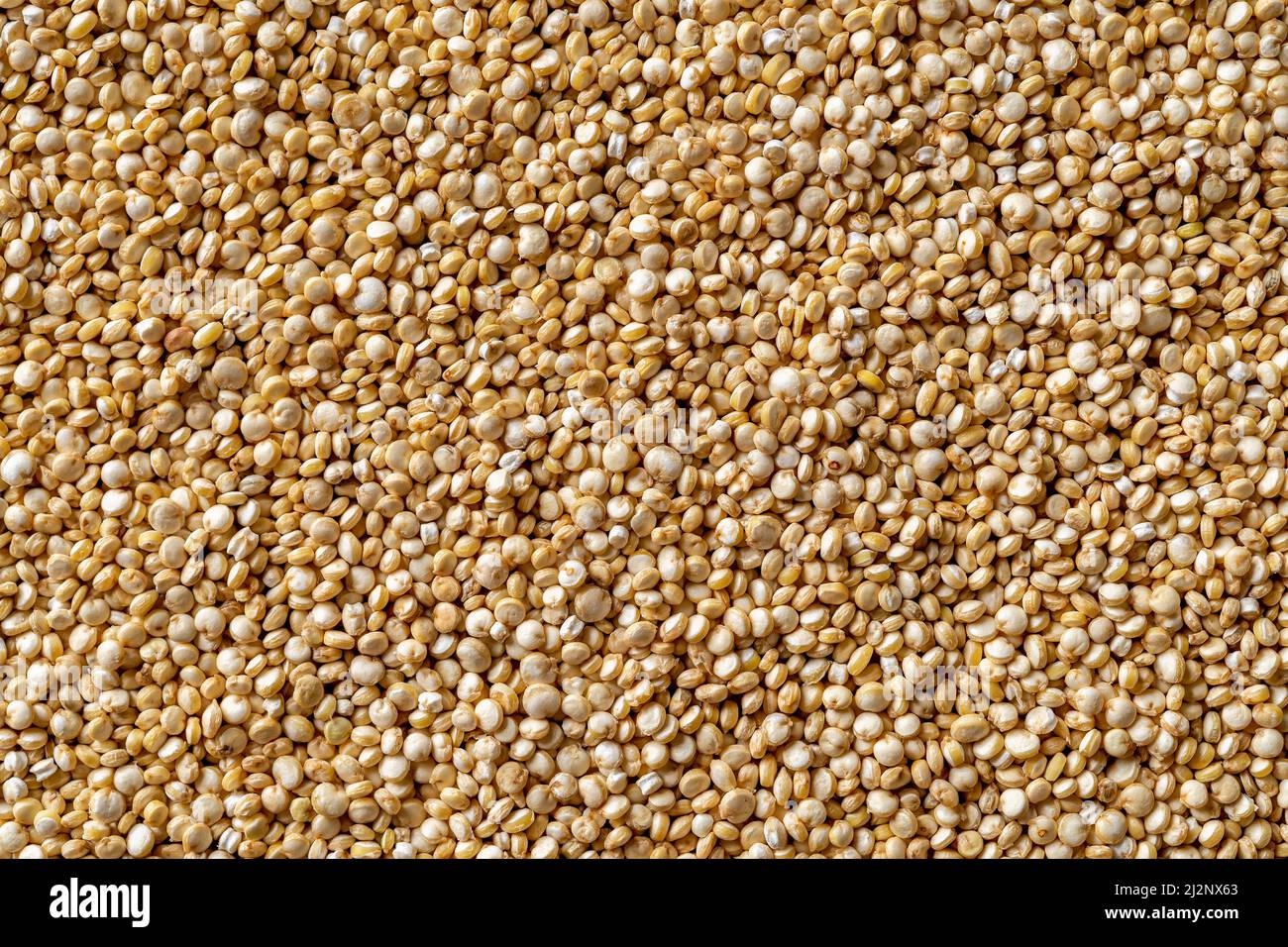 Raw quinoa grains macro background. Texture of white quinoa seeds close ...