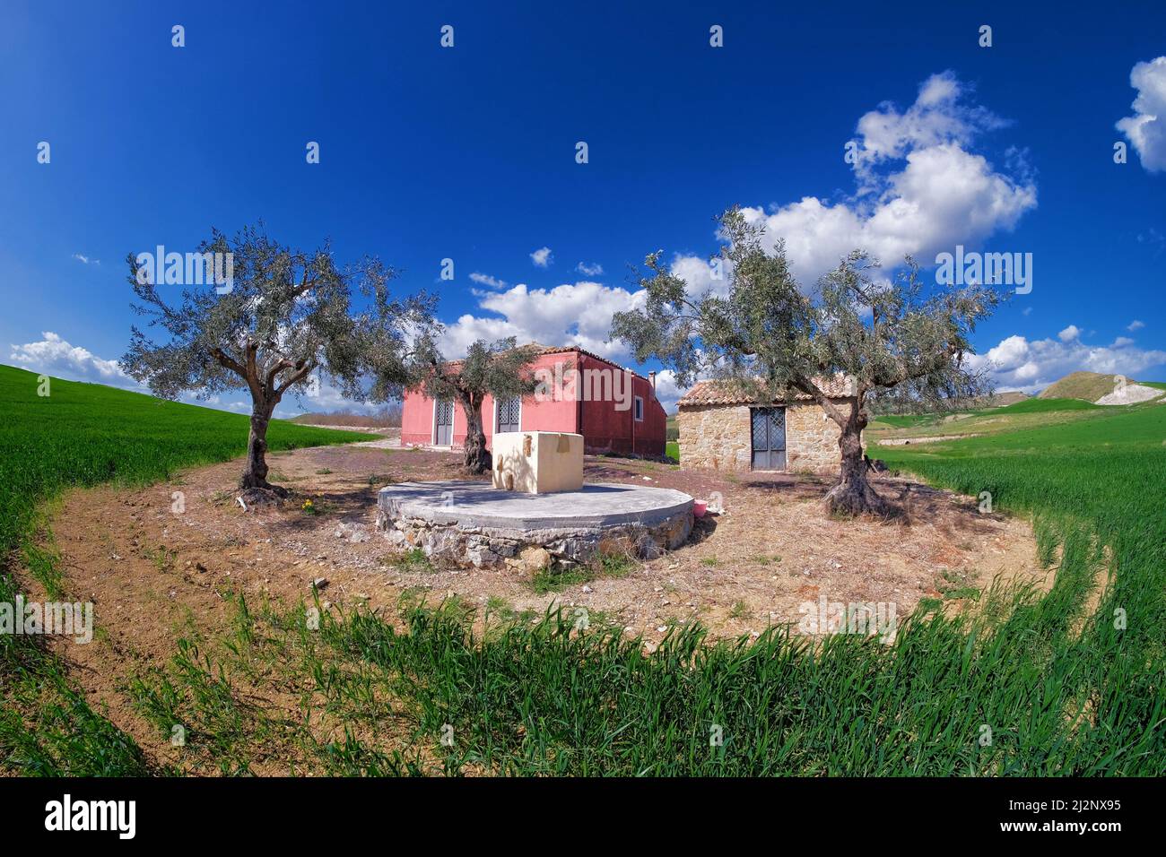 farm house, water well and olive trees in Sicily Stock Photo - Alamy