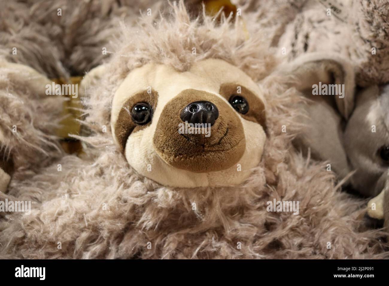 Plush toy / teddy bear Sloth Stock Photo - Alamy