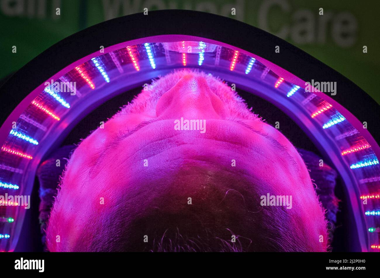 Centre spa industry expo hi-res stock photography and images - Alamy